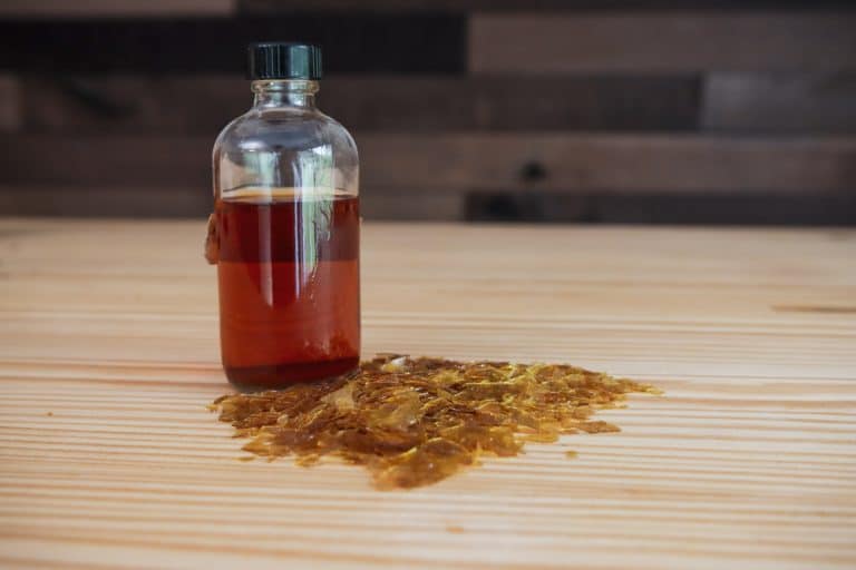 FRENCH POLISH: SHELLAC, ALCOHOL, OILS & TECHNIQUE