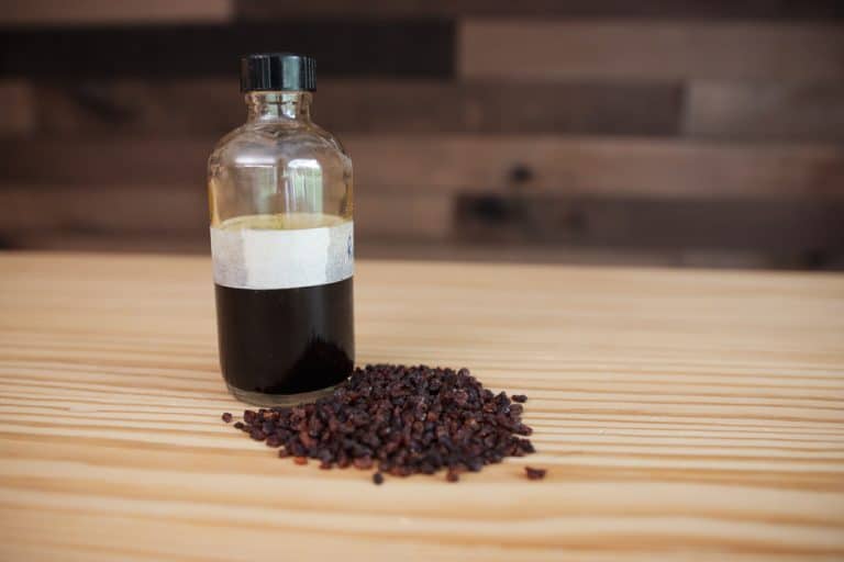 FRENCH POLISH: SHELLAC, ALCOHOL, OILS & TECHNIQUE