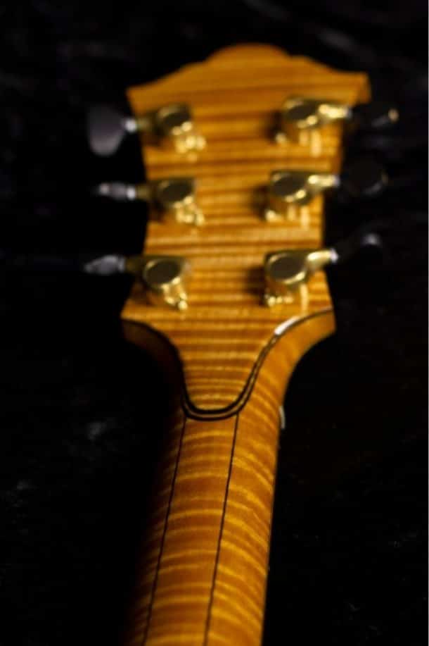 The Art Of The Guitar Backstrap (Video Course)